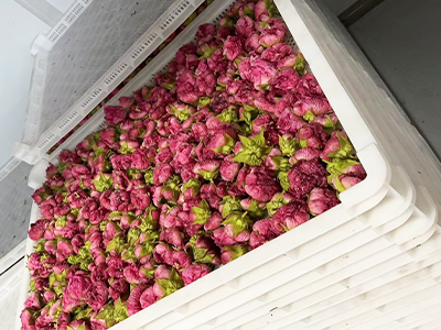 China Wholesale Hibiscus Flowers Dryer Machine Manufacturers ...